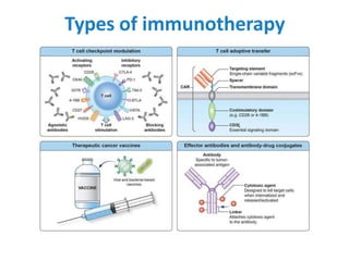 Basic principles of cancer immunotherapy | PPTX