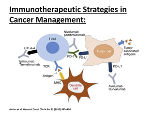 Basic principles of cancer immunotherapy | PPTX