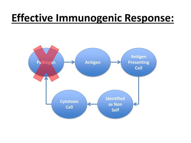 Basic principles of cancer immunotherapy | PPTX