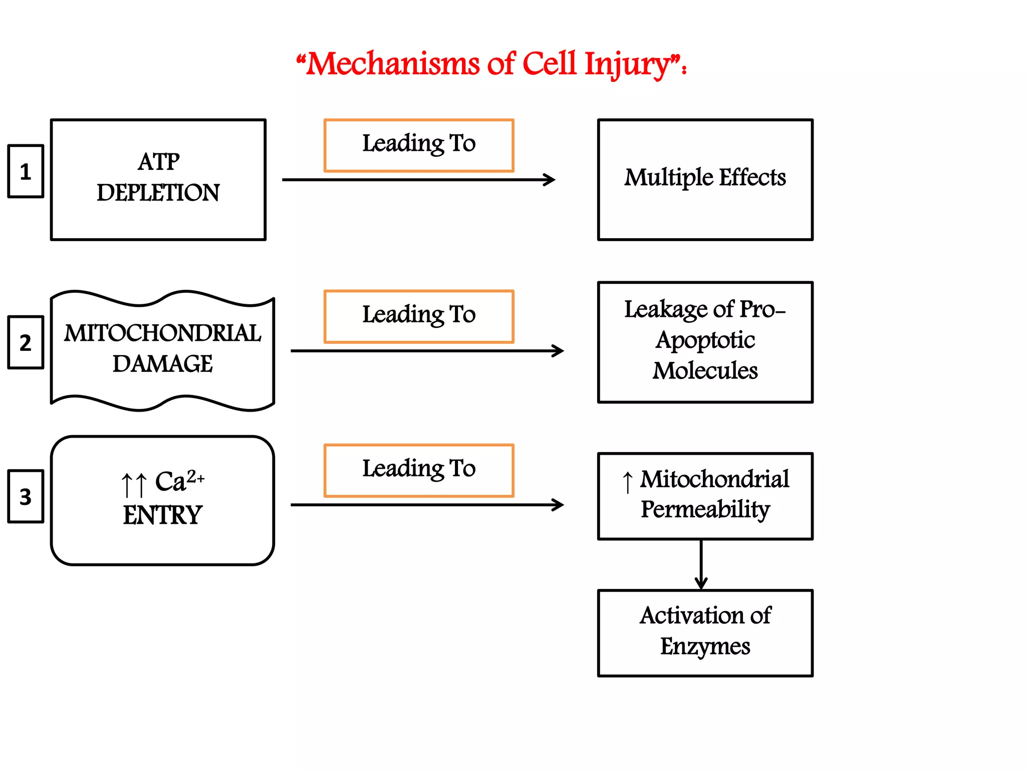 Basic principles of cell injury | PPTX