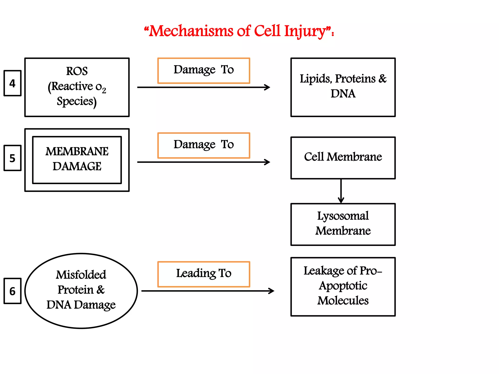 Basic principles of cell injury | PPTX