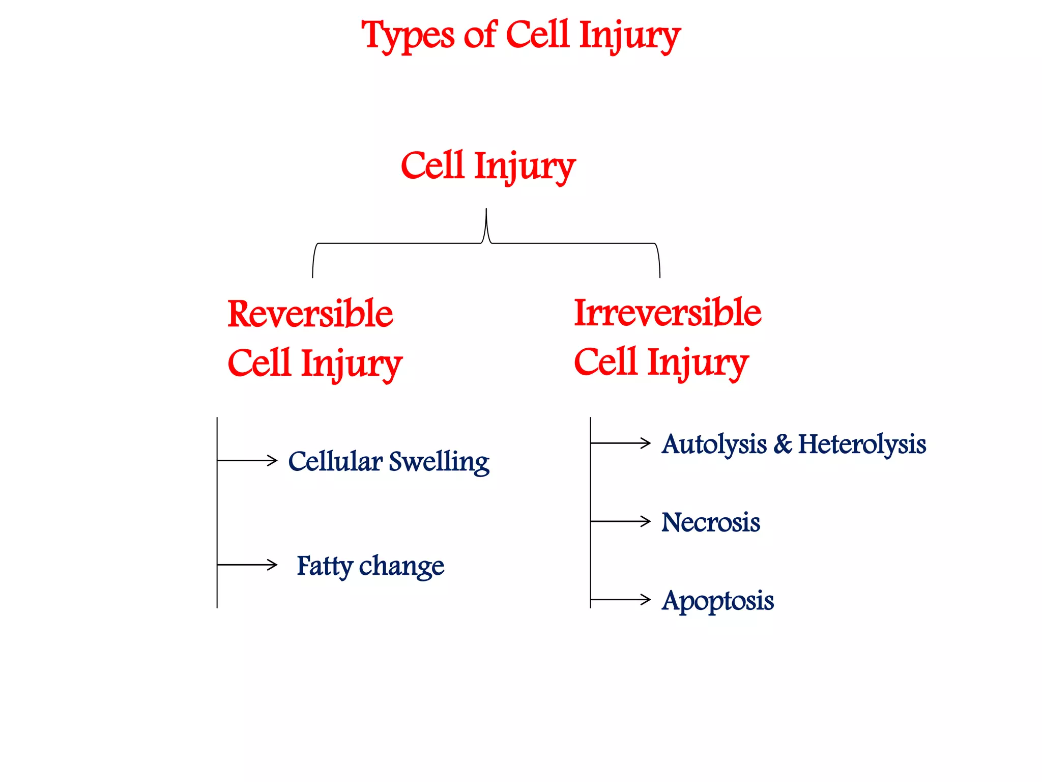 Basic principles of cell injury | PPTX