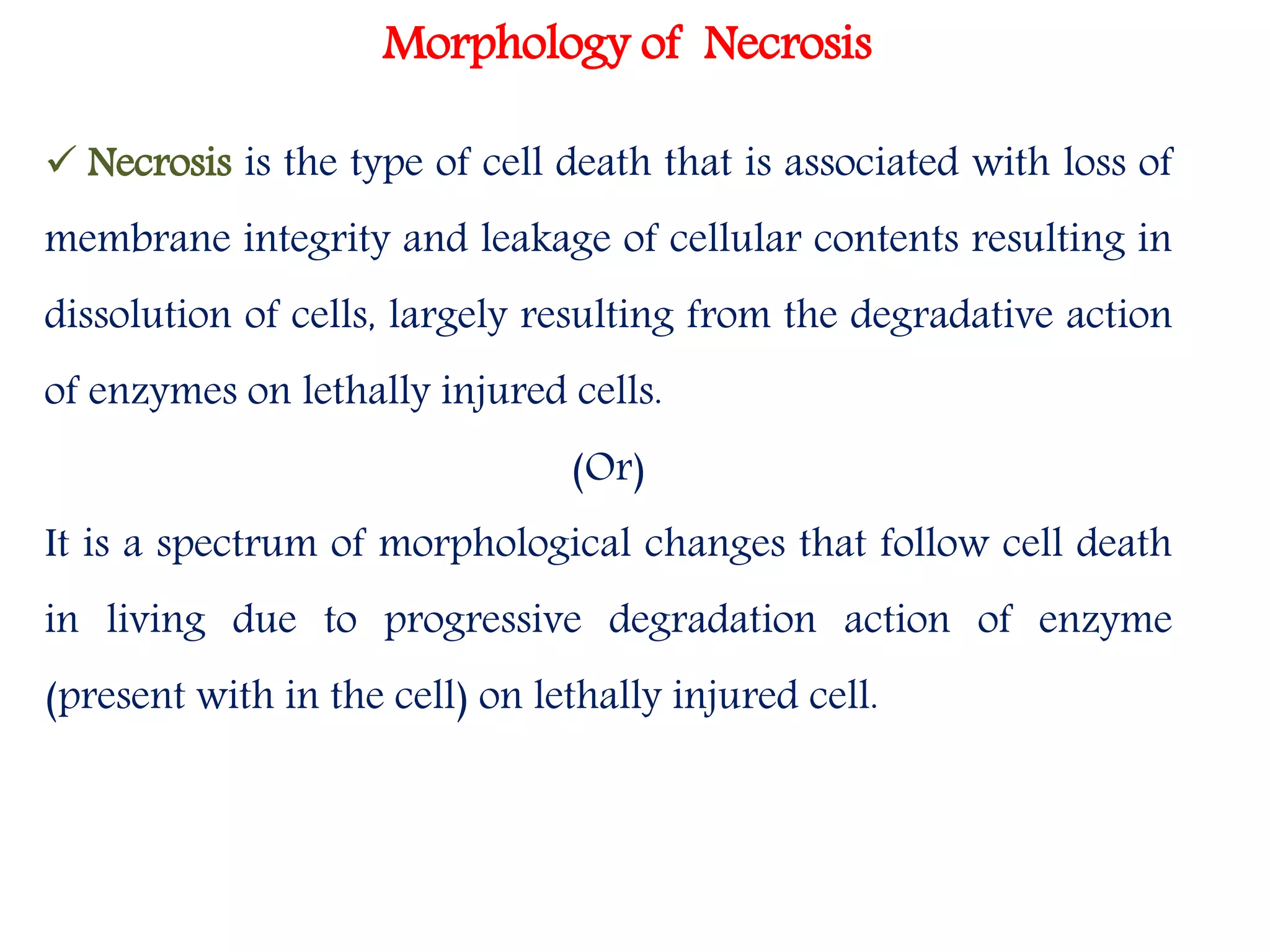 Basic principles of cell injury | PPTX