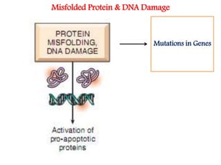 Basic principles of cell injury | PPTX