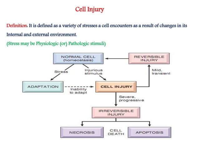 Basic principles of cell injury | PPTX