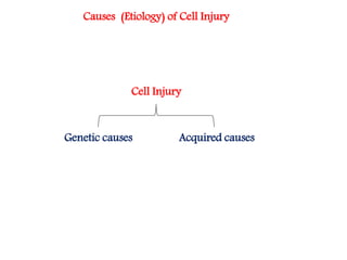 Basic principles of cell injury | PPTX