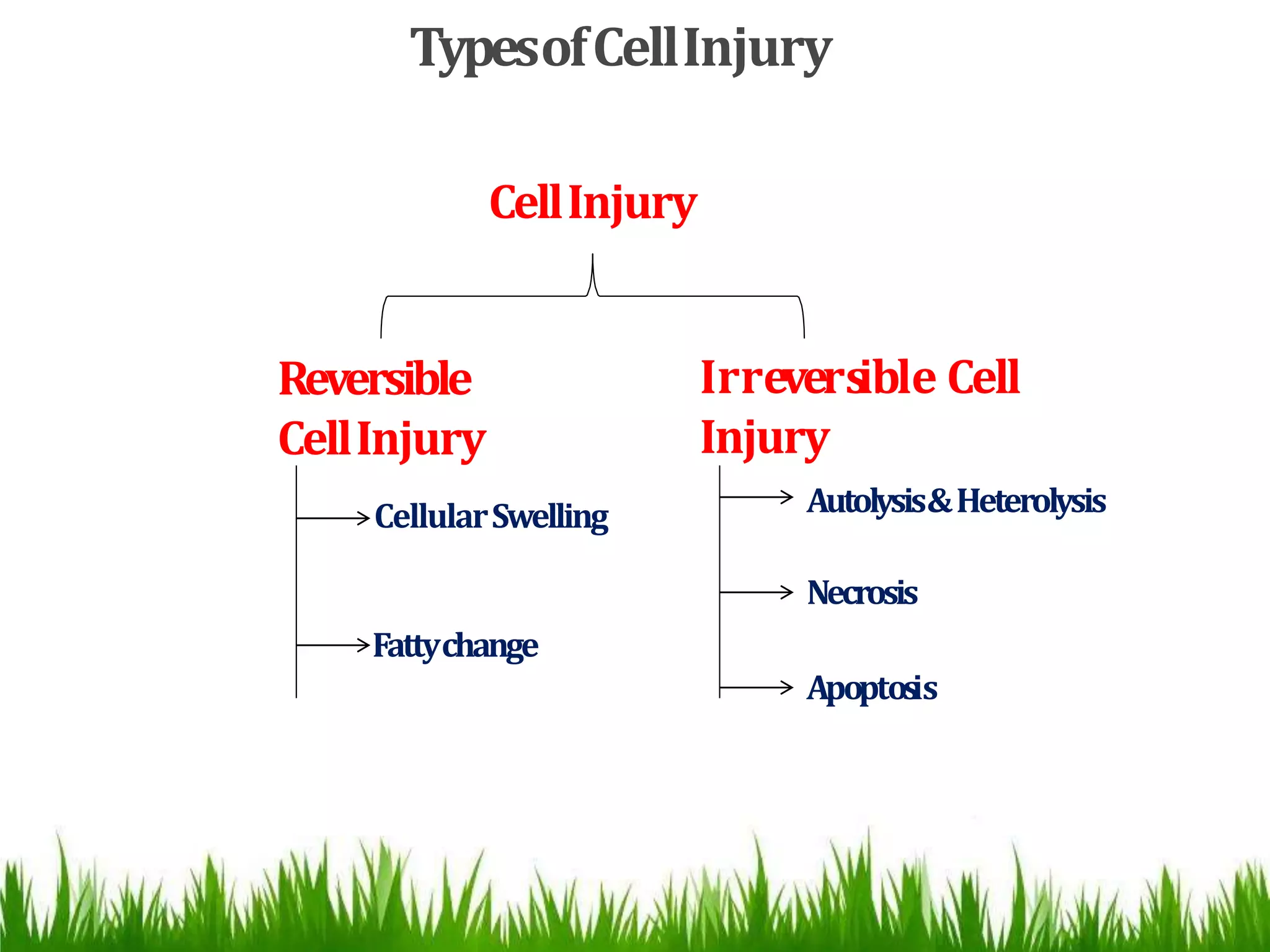 Basic principles of cell injury | PPTX