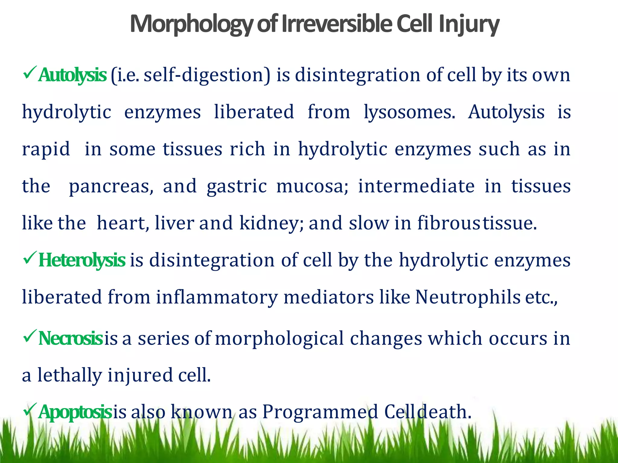 Basic principles of cell injury | PPTX