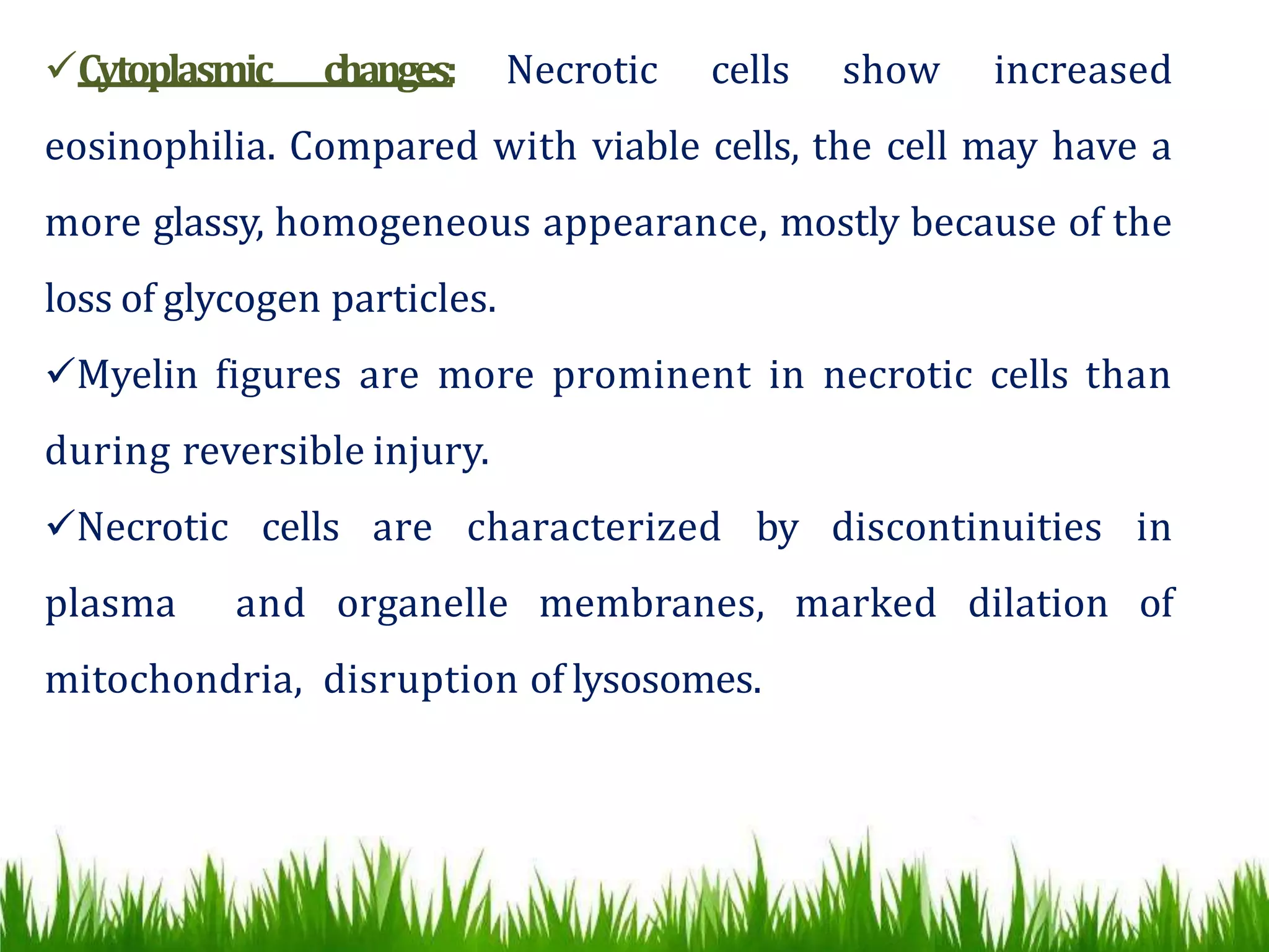 Basic principles of cell injury | PPTX
