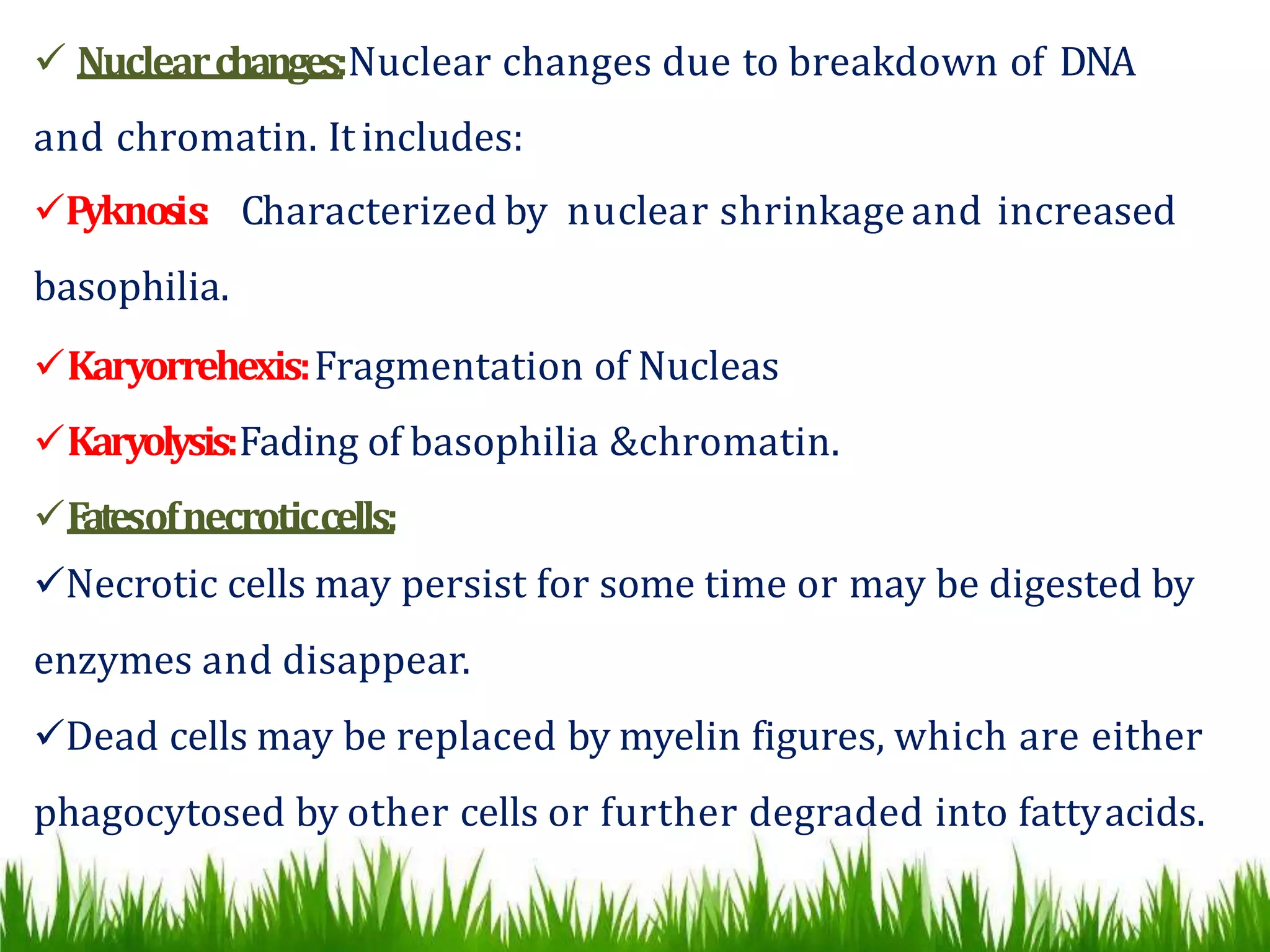 Basic principles of cell injury | PPTX