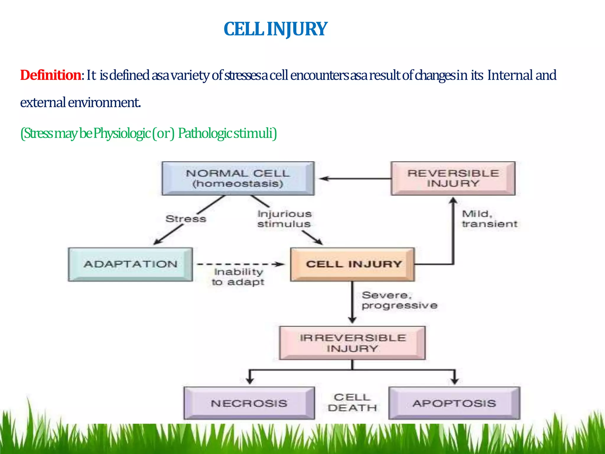 Basic principles of cell injury | PPTX