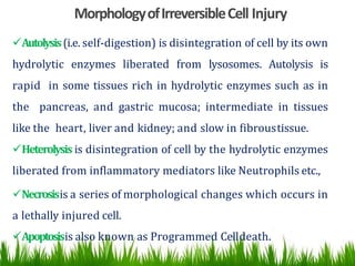 Basic principles of cell injury | PPTX