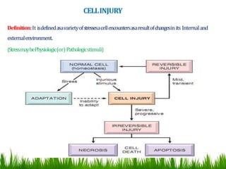 Basic principles of cell injury | PPTX