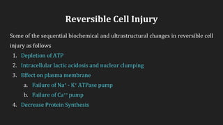 Basic principles of Cell injury.pptx