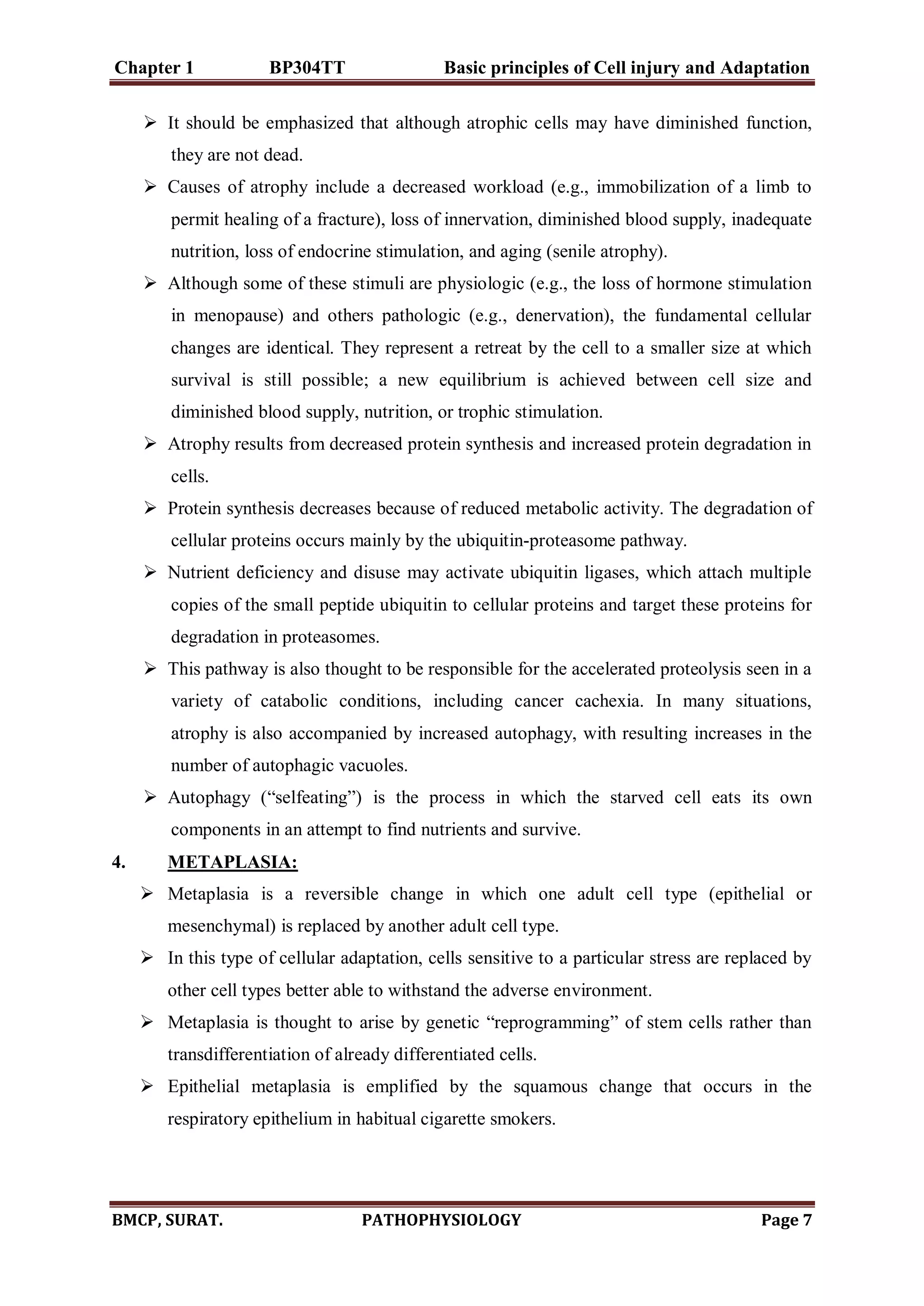 Basic principles of cell injury and adaptation | PDF