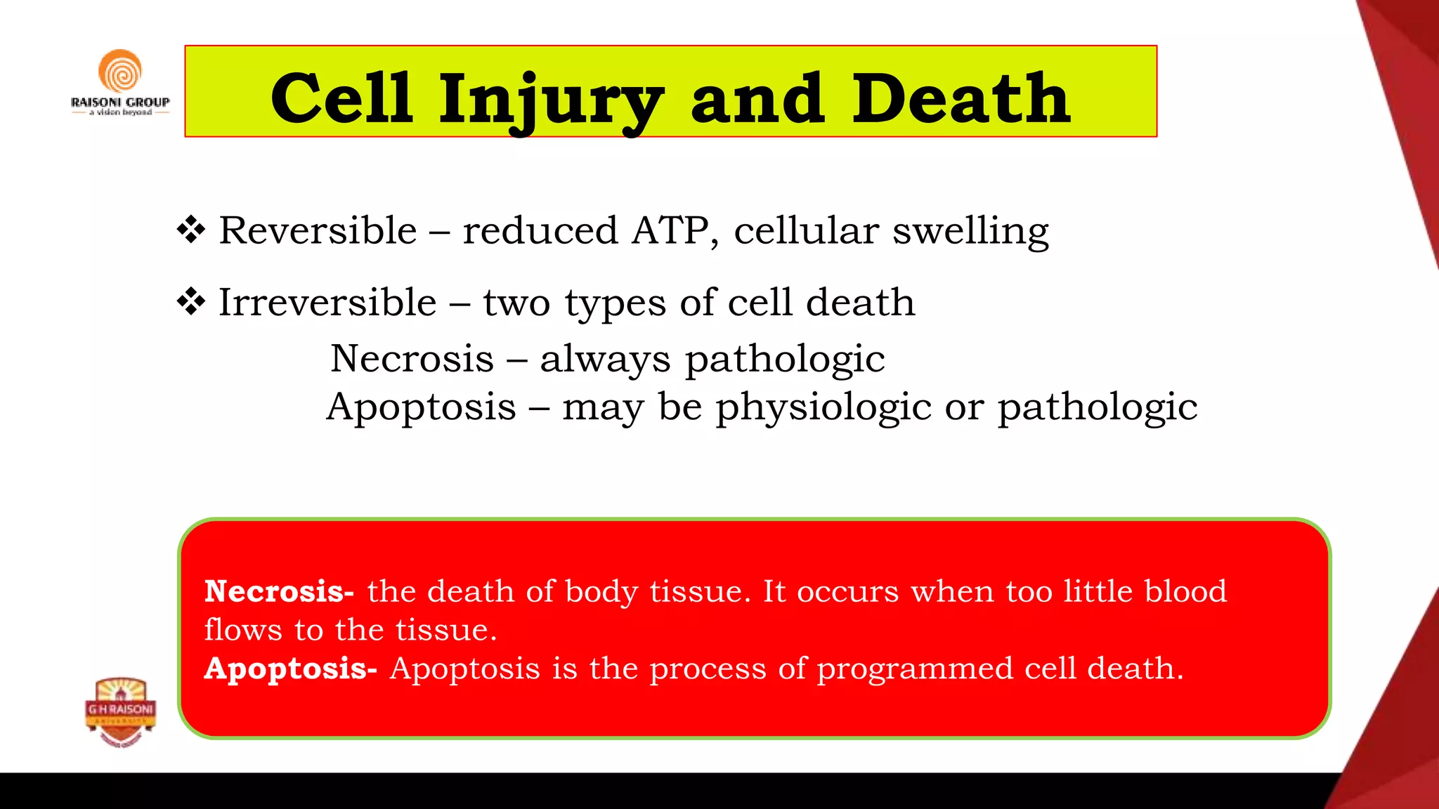 Basic Principles of Cell Injury and Adaptation.pptx