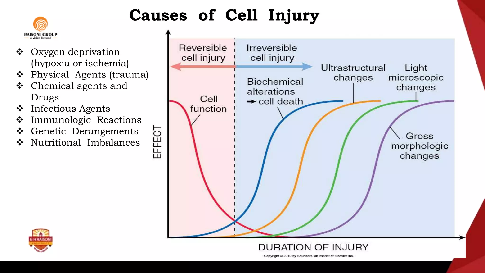 Basic Principles of Cell Injury and Adaptation.pptx