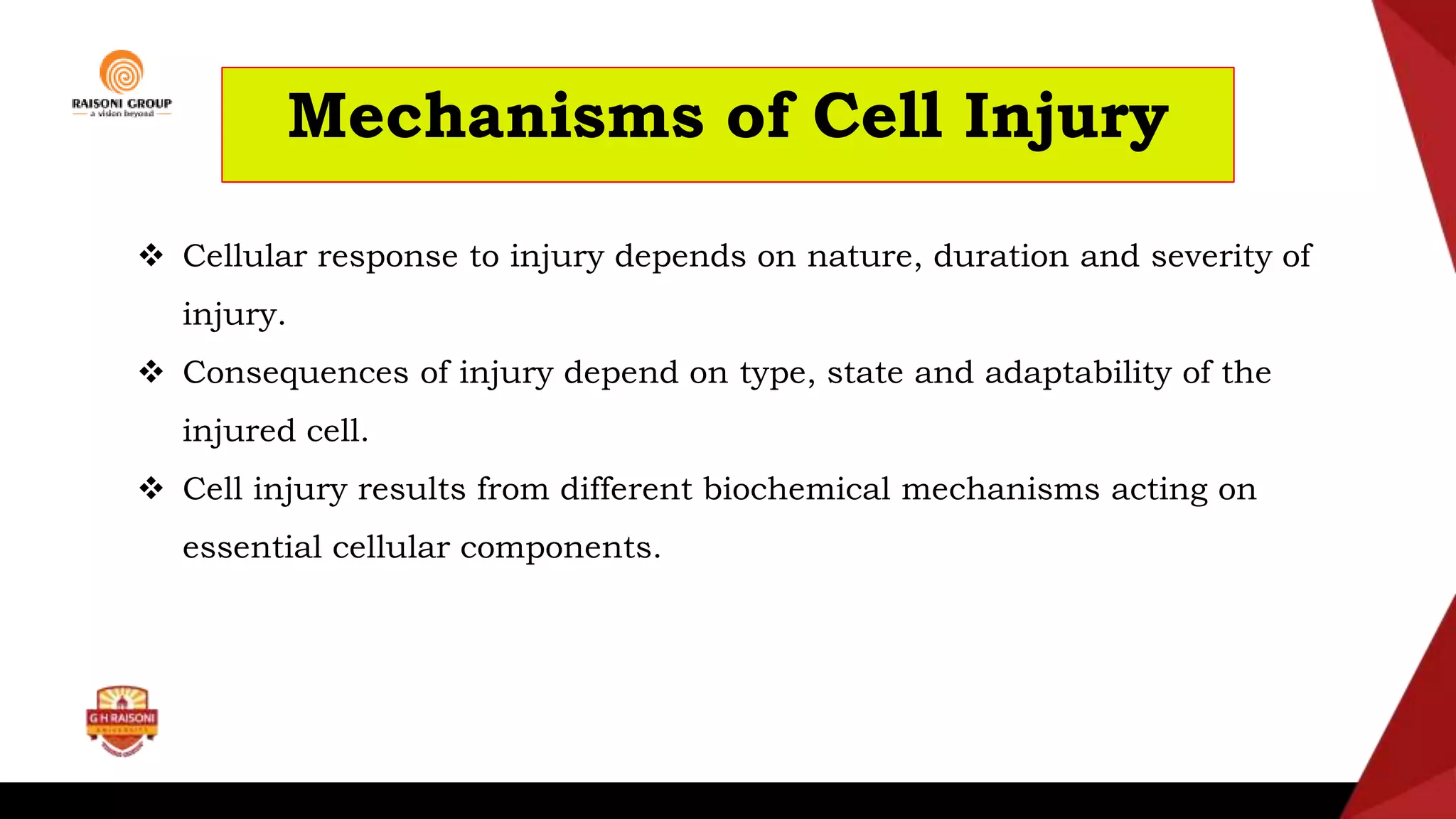 Basic Principles of Cell Injury and Adaptation.pptx