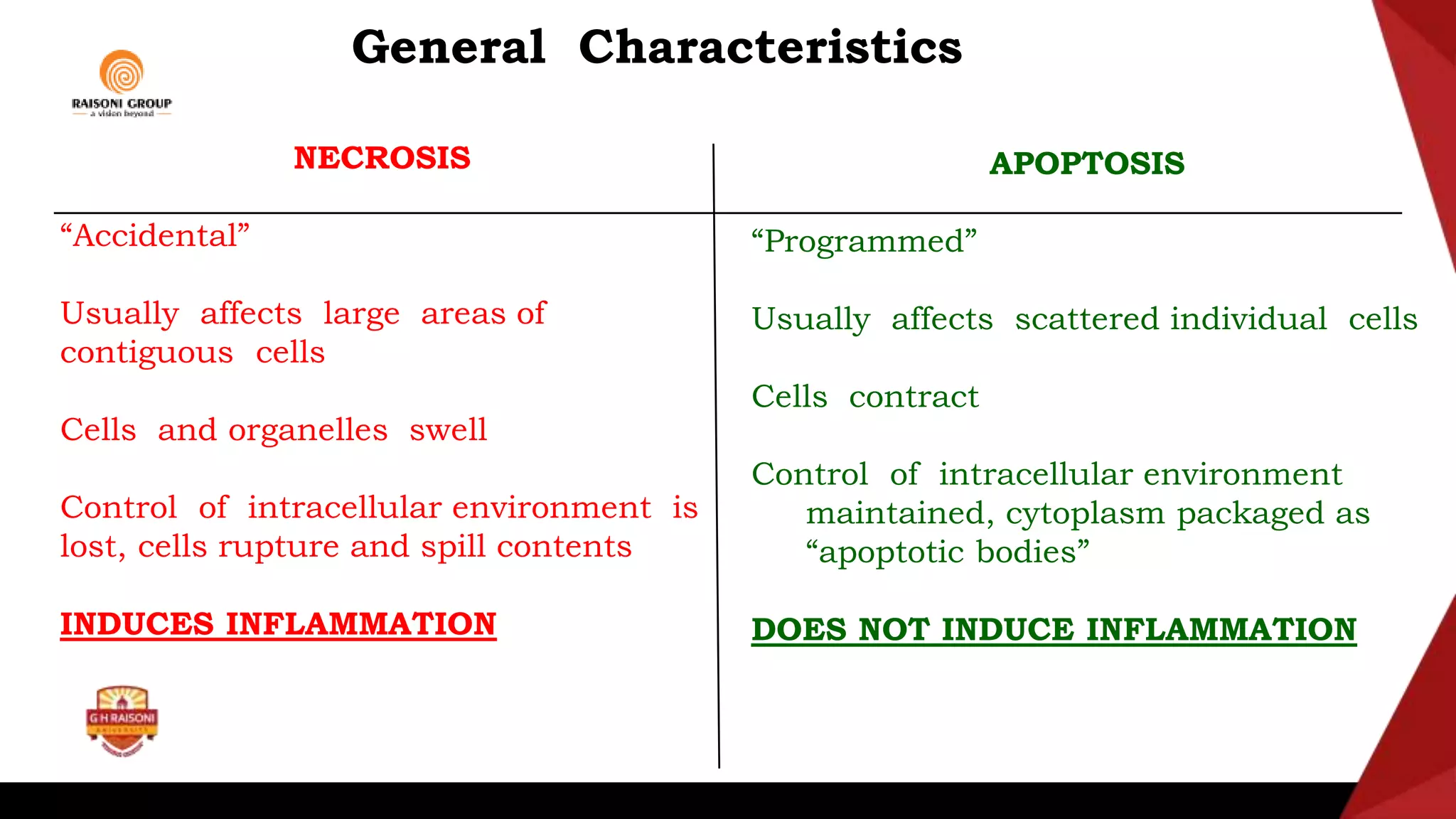 Basic Principles of Cell Injury and Adaptation.pptx