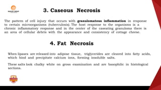Basic Principles of Cell Injury and Adaptation.pptx