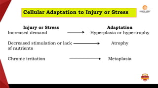 Basic Principles of Cell Injury and Adaptation.pptx