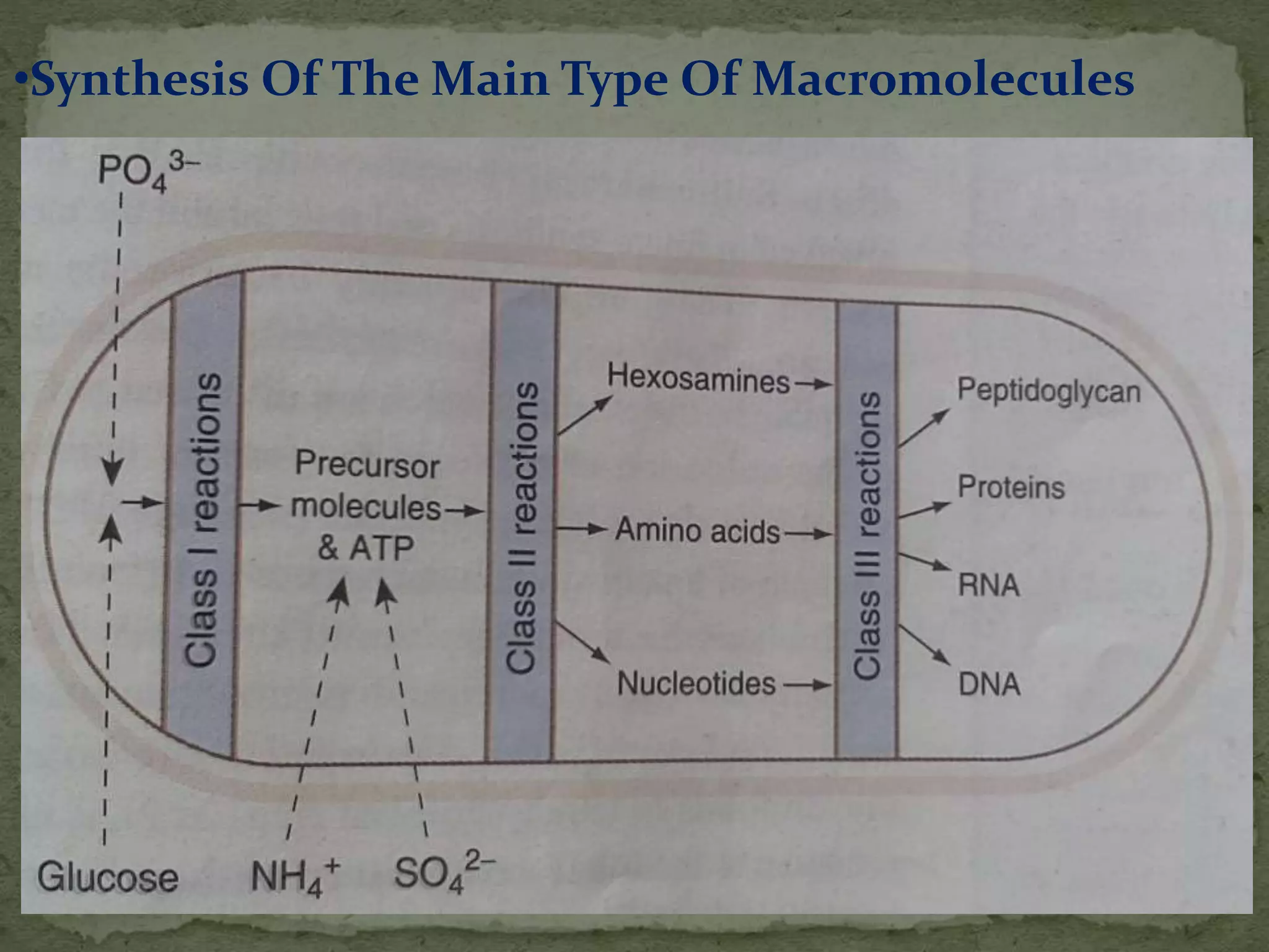 Basic Principles of Chemotherapy | PPTX
