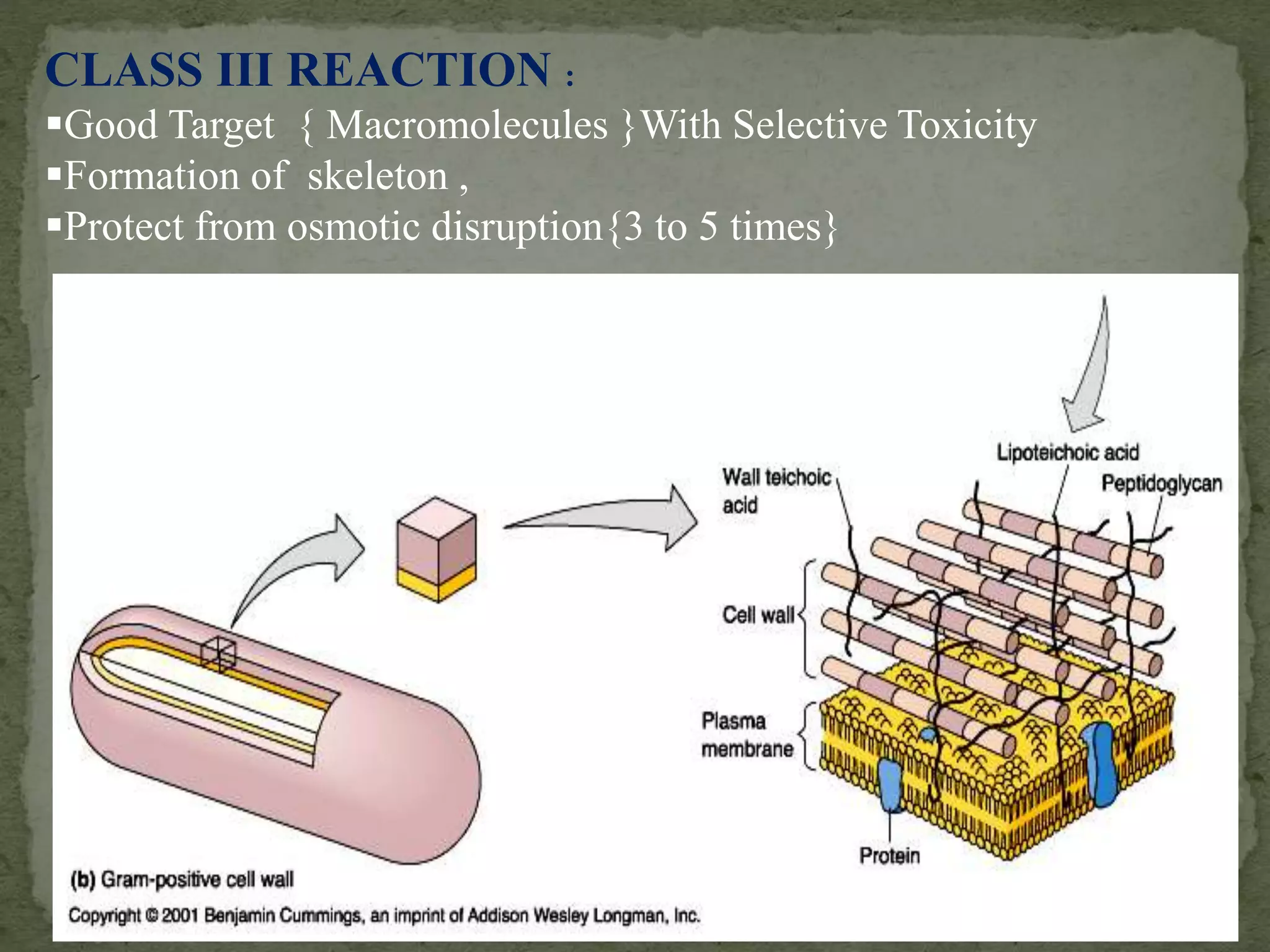 Basic Principles of Chemotherapy | PPTX