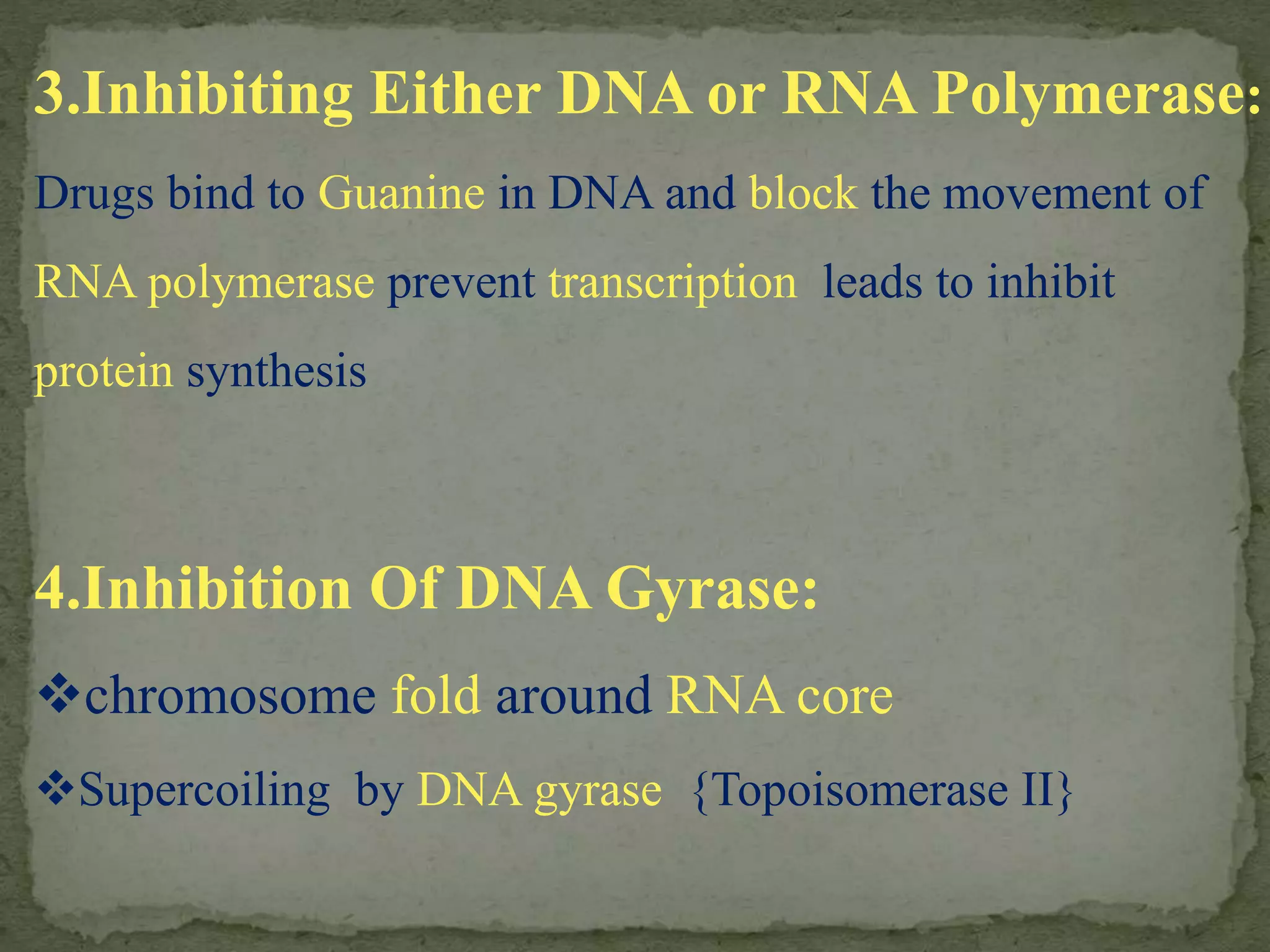 Basic Principles of Chemotherapy | PPTX