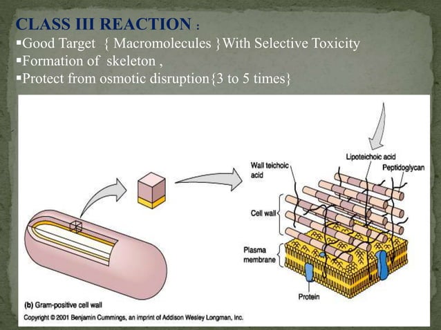 Basic Principles of Chemotherapy | PPTX | Chemistry | Science