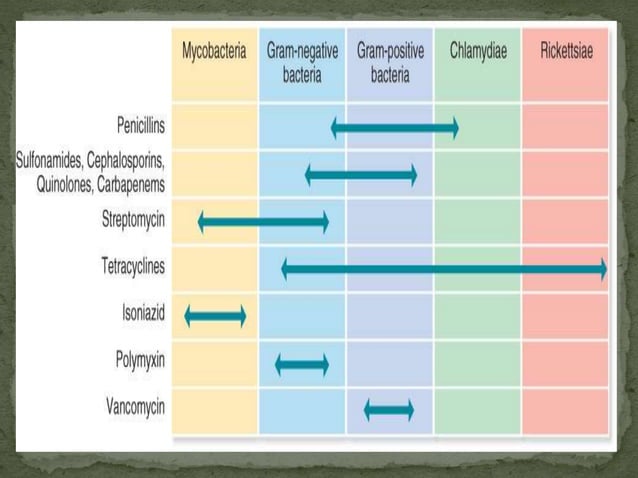 Basic Principles of Chemotherapy | PPTX | Chemistry | Science