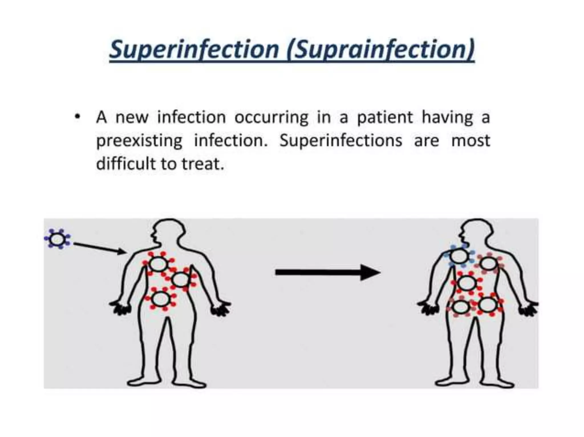 Basic Principles of Chemotherapy .pptx
