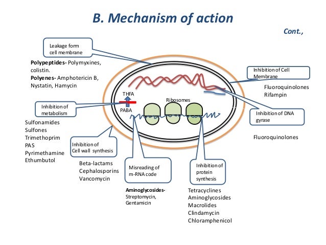 Basic principles of chemotherapy