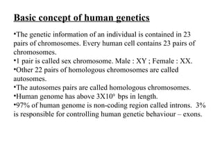 BASIC PRINCIPLES OF DNA a short discussion | PPTX