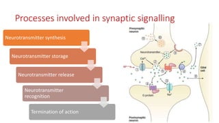 Basic principles of drugs affecting the cns | PPTX