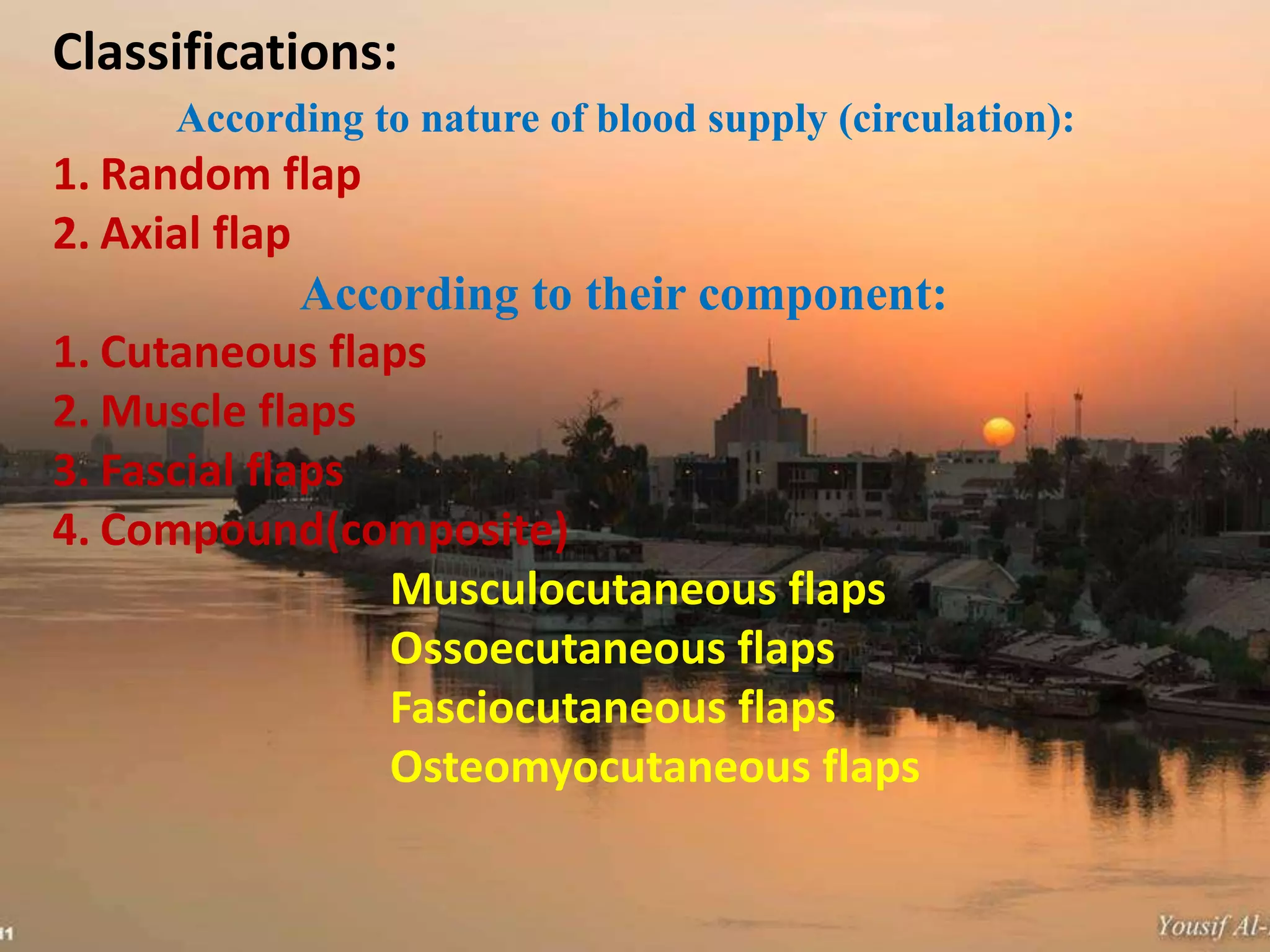 Basic principles of flaps | PPSX