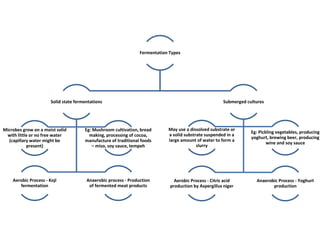 Basic principles of food fermentation | PPTX