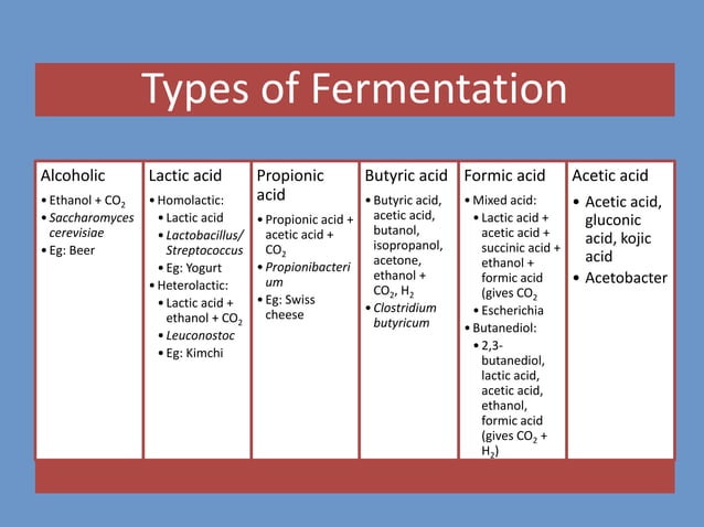 Basic principles of food fermentation | PPTX