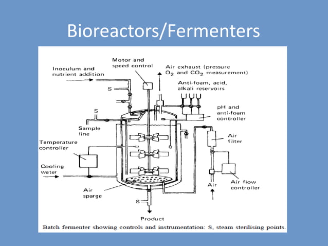 Basic principles of food fermentation | PPTX