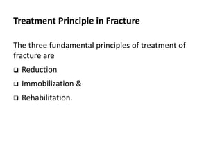 Basic Principles of Fracture Management | PDF
