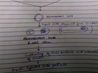 Basic principles of genetic engineering | PPTX