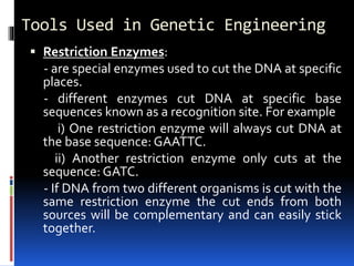Basic principles of genetic engineering | PPTX