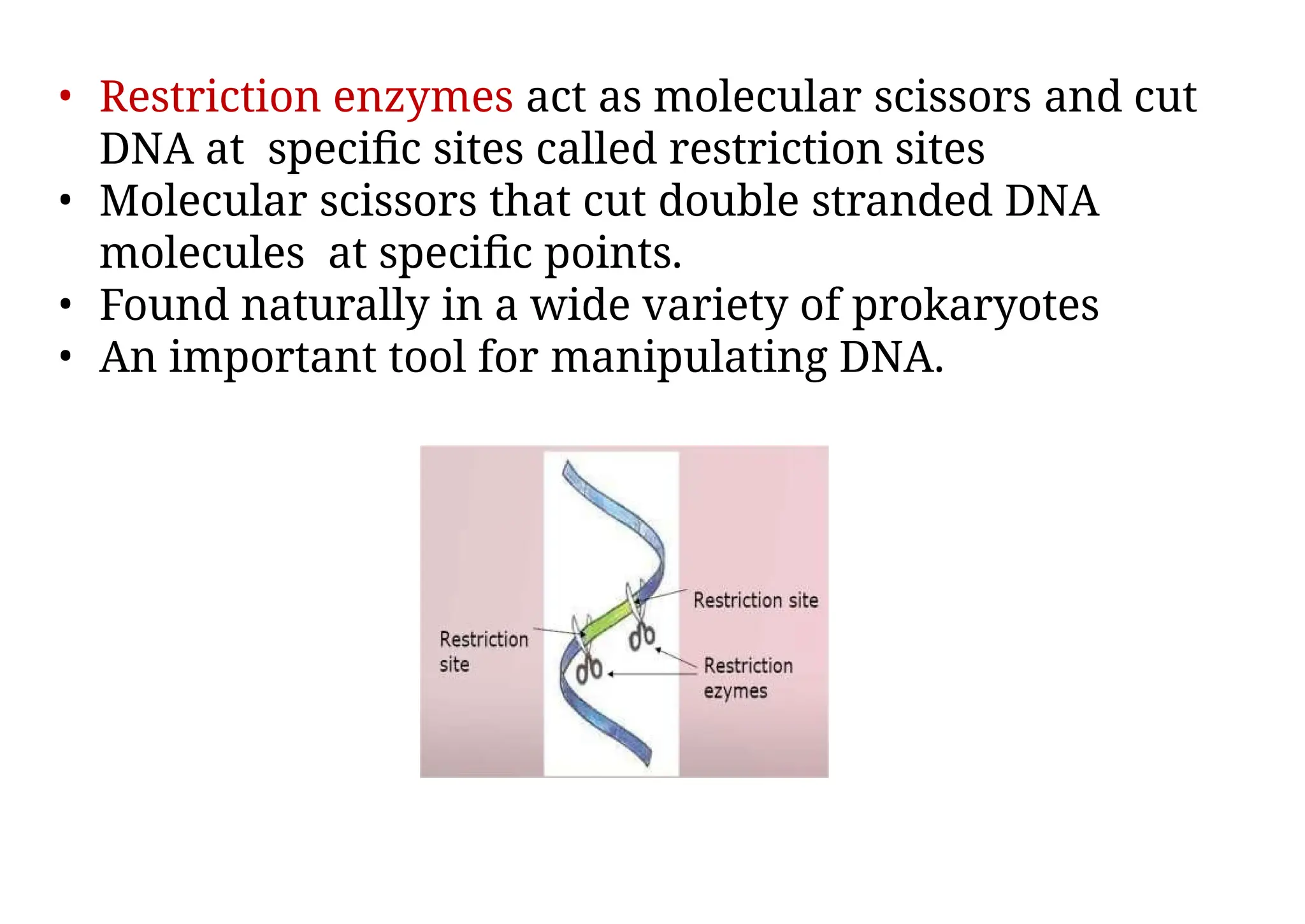 basicprinciplesofgeneticengineering-210507054445.pptx