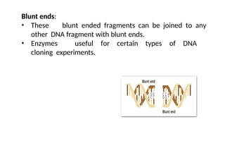 basicprinciplesofgeneticengineering-210507054445.pptx