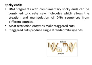 Basic principles of genetic engineering | PPTX