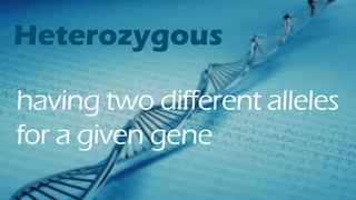 Basic Principles of Genetics | PPTX