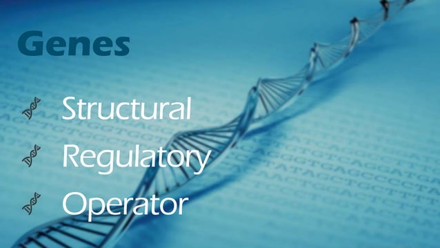 Basic Principles of Genetics | PPTX | Genetics | Science