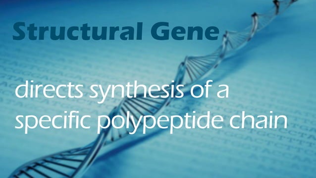 Basic Principles of Genetics | PPTX | Genetics | Science