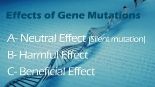 Basic Principles of Genetics | PPTX