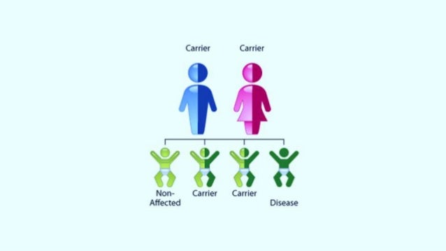 Basic Principles of Genetics