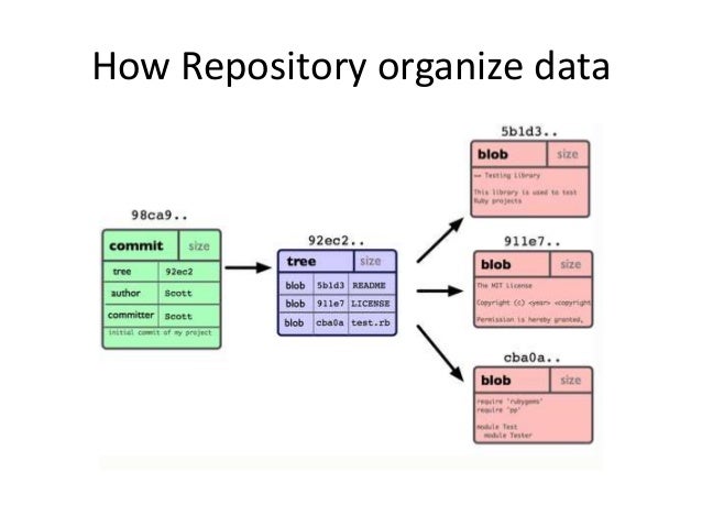 Basic Principles Of Git